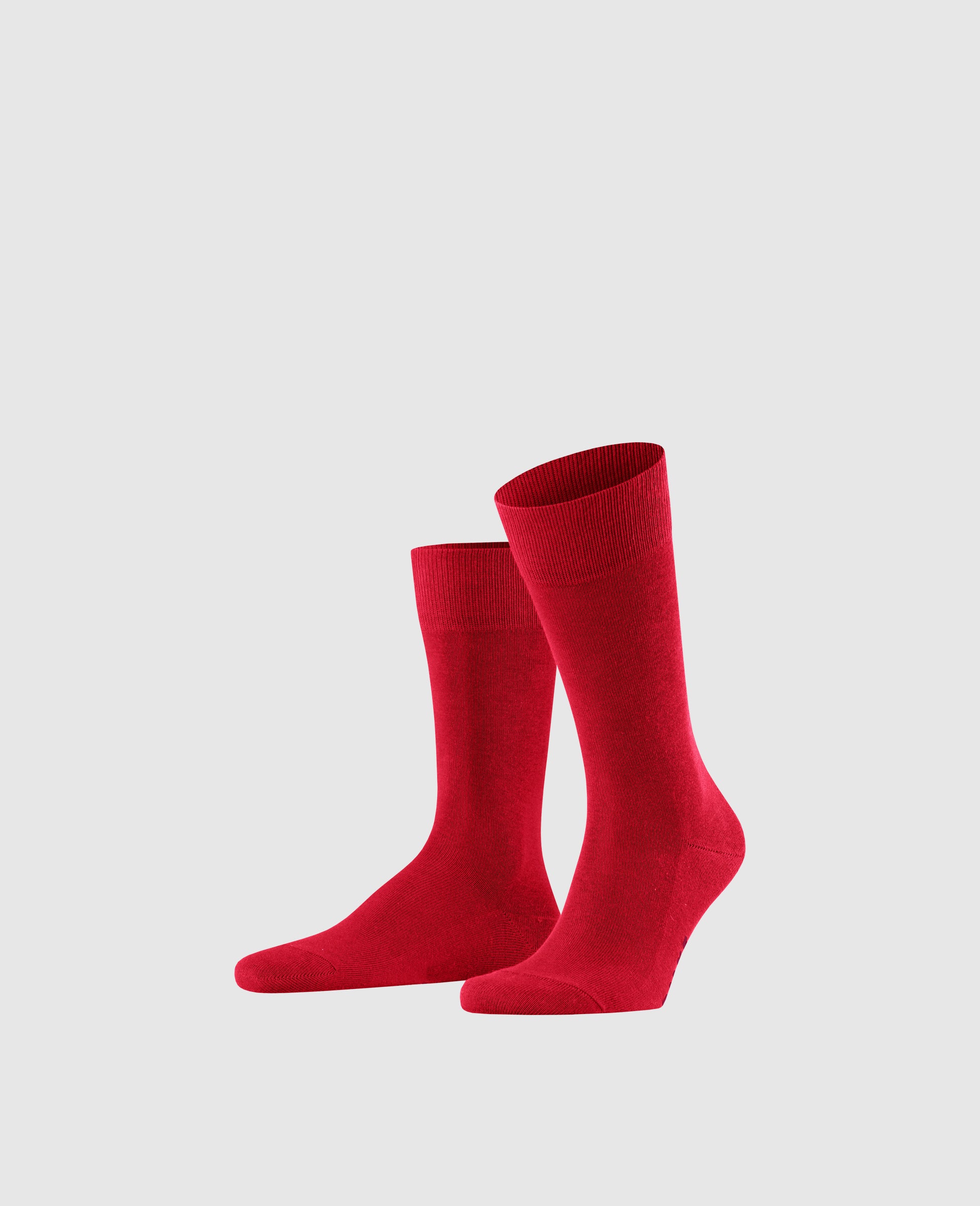 Buy Falke "Softmerino" women's knee-high socks online. | Shoepassion